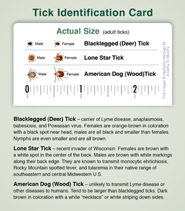 Tick identification wisconsin - issevector